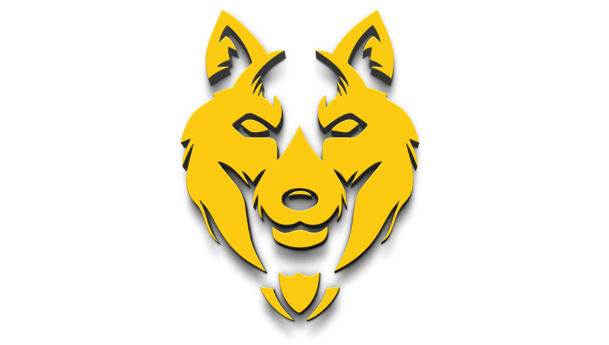 Best Lifting Gear, Activewear & Gym Apparel – FITNESS FOX