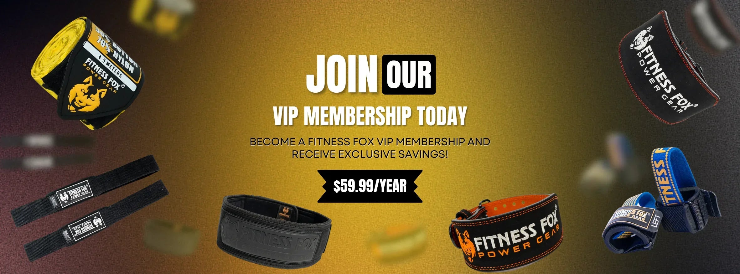Fitness Fox VIP – Annual Membership – FITNESS FOX